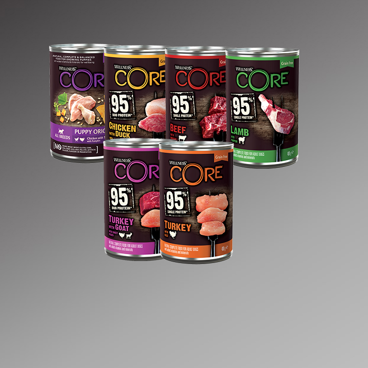 Wellness CORE Can Dog 95% – Wellness Core